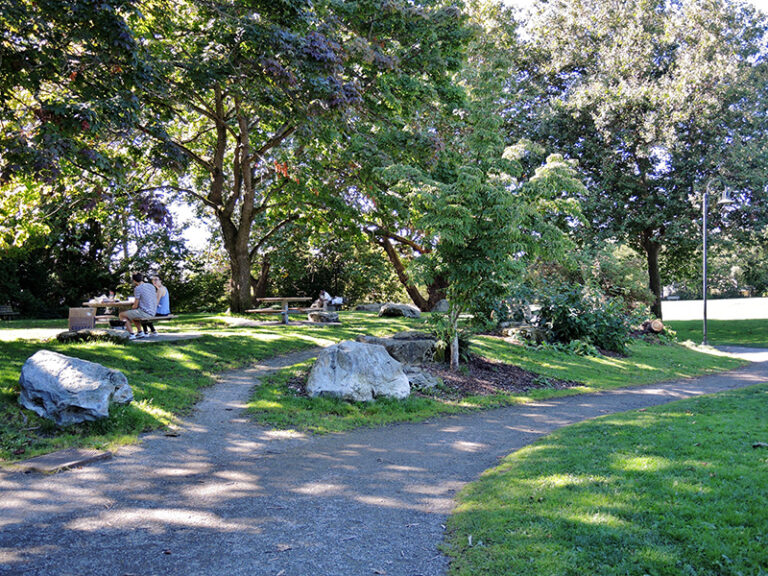 Wallingford Community Council | A neighborhood voice in Seattle ...